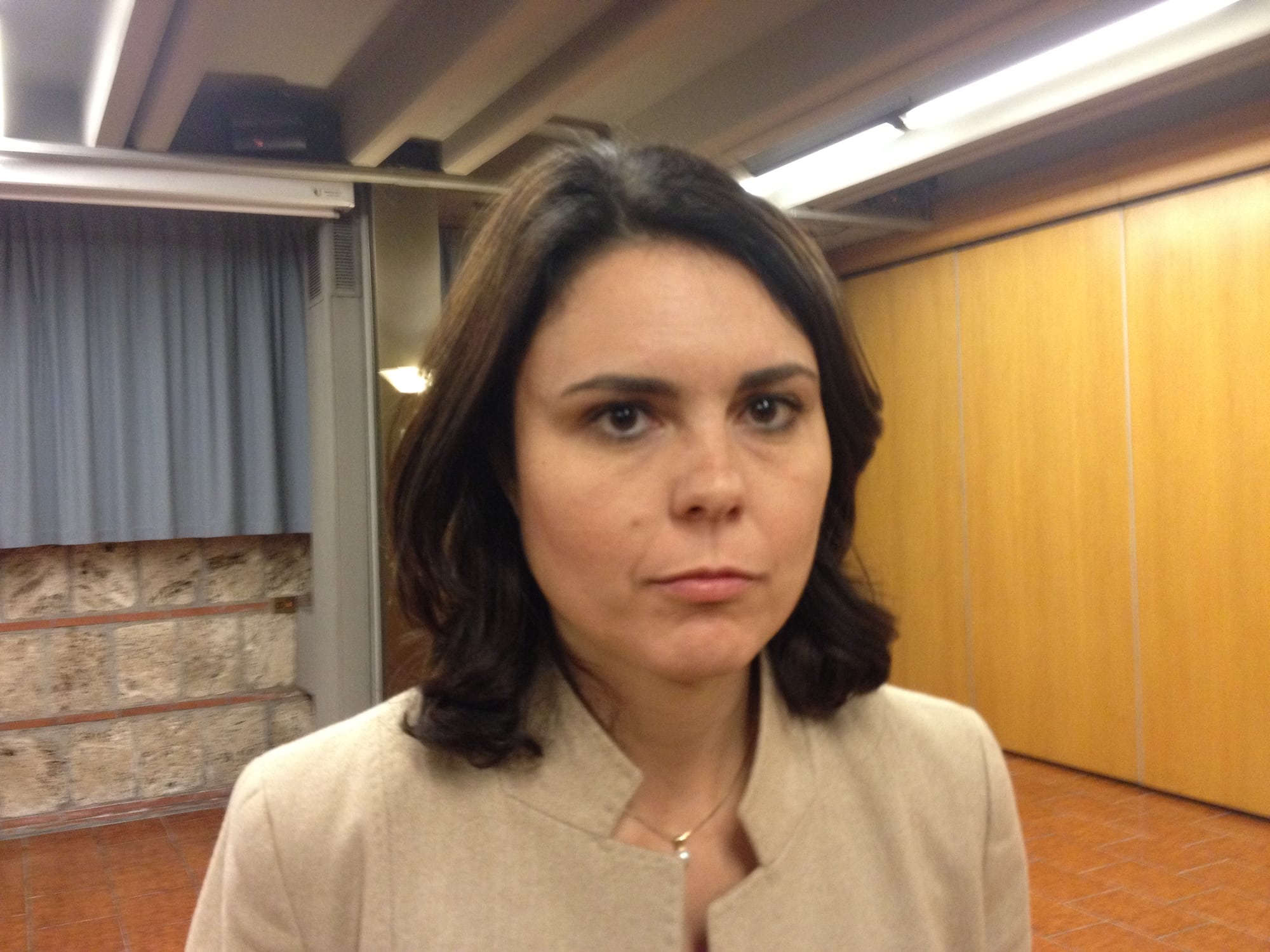 Più Europa ma diversa: Bonafè spiega perché - UmbriaON