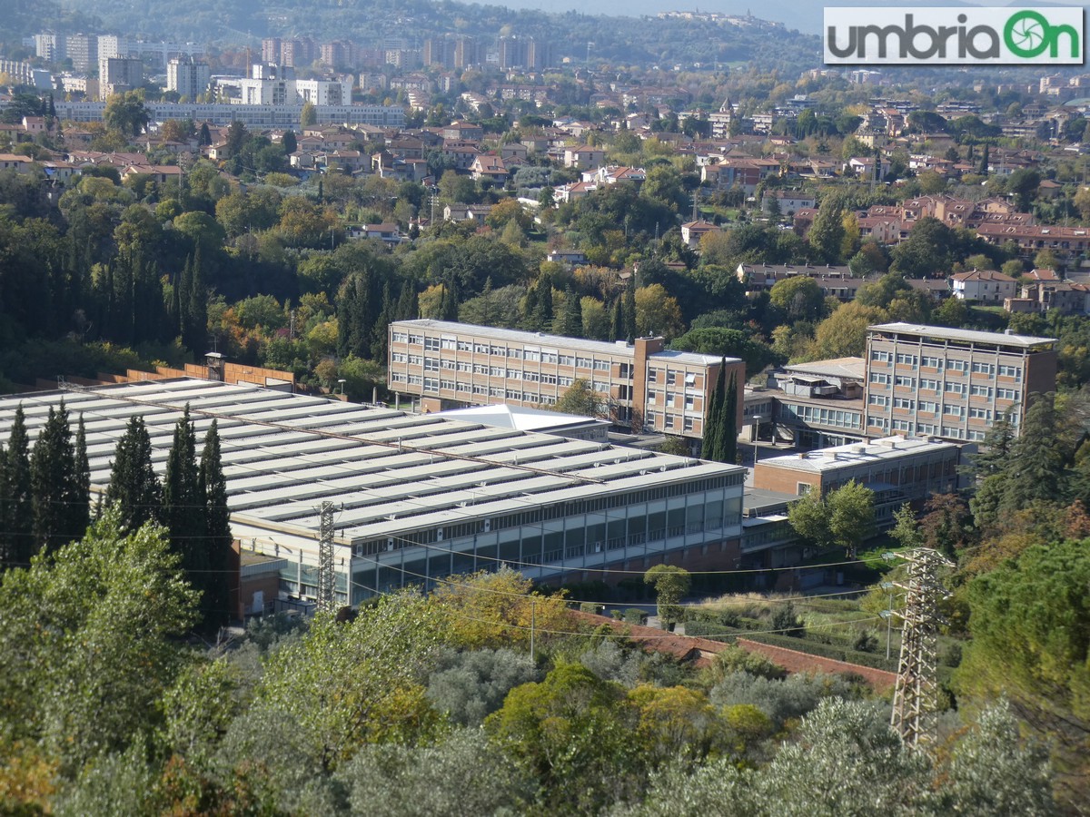 Comune Terni vs UniPg per ingiunzione da 28 mila euro: palazzo Spada ko ...