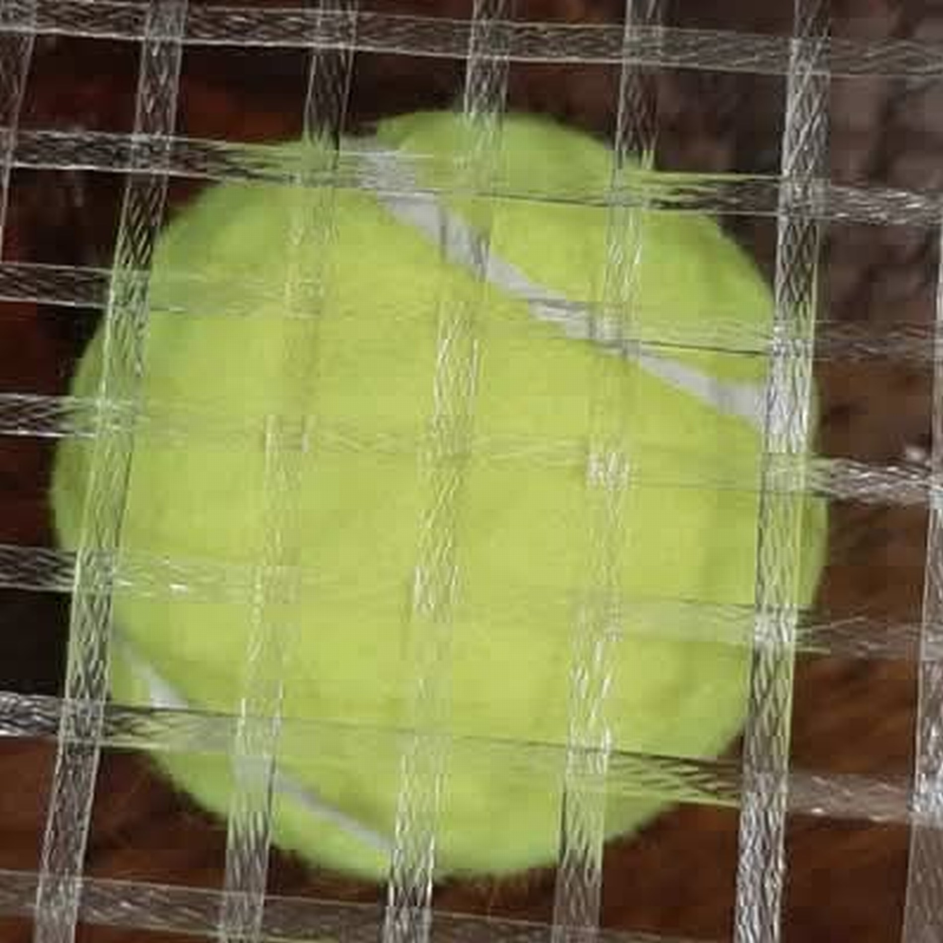 Tennis: corde piatte vs. corde tonde. La relazione di S. Manfroi - UmbriaON